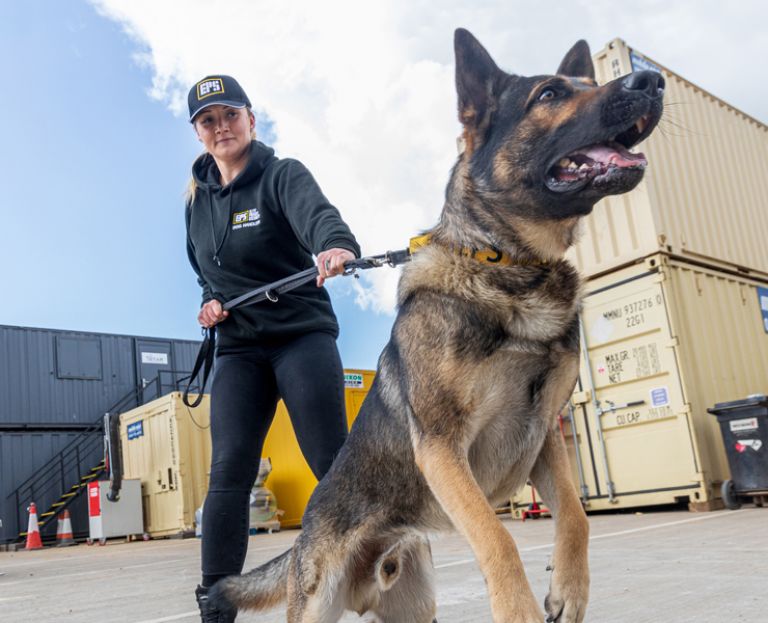 Elite Private Security - National Security Contractors