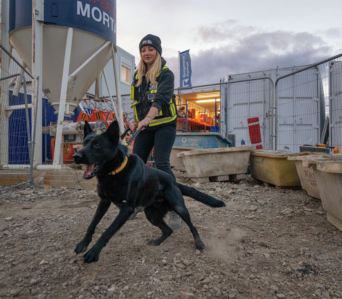 Security Guard Dogs - Elite Private Security - Guard Dog Security