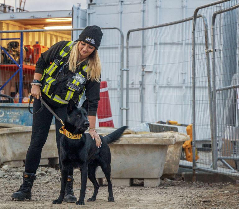 Security Guard Dogs - Elite Private Security - Guard Dog Security
